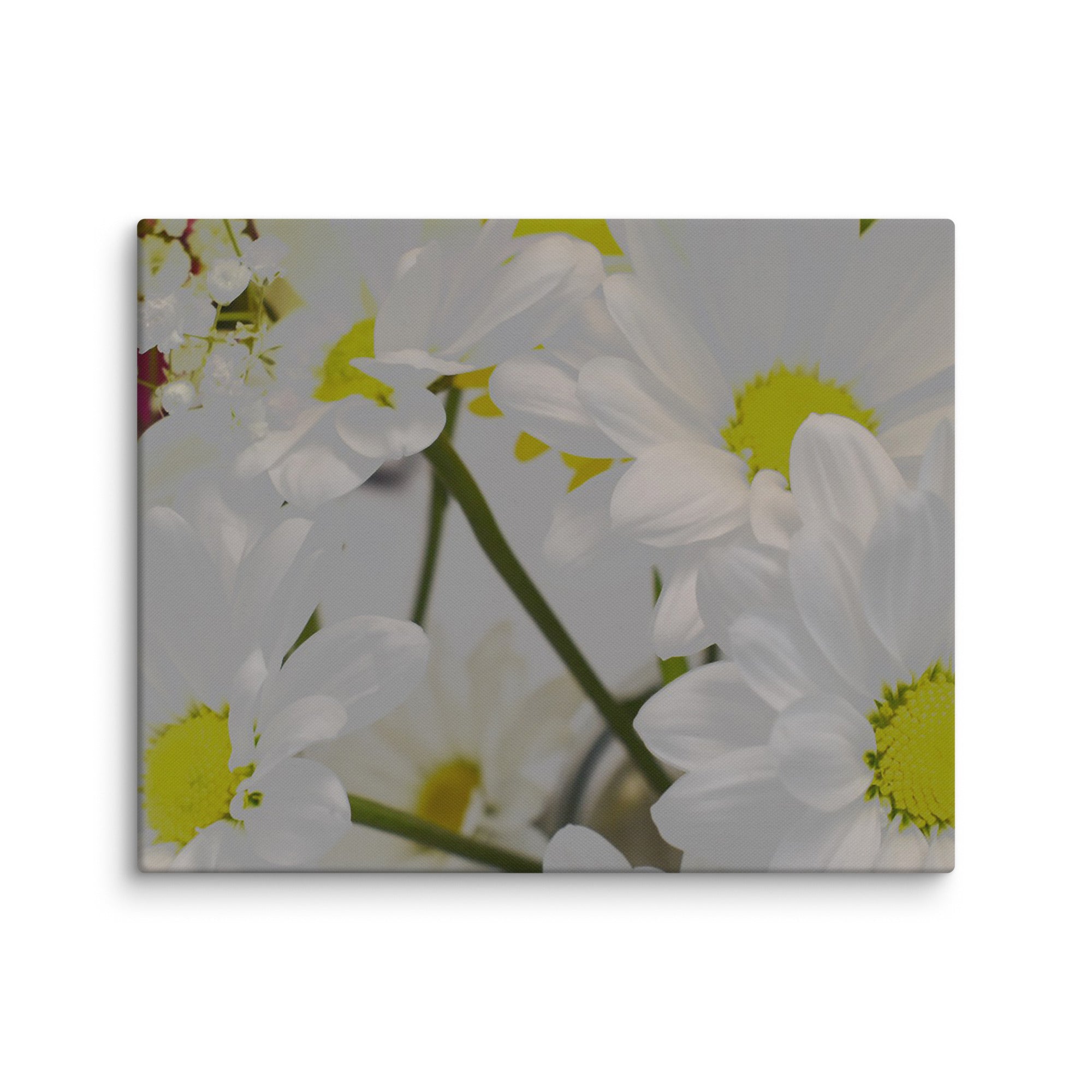 Canvas – Exposures By Ken